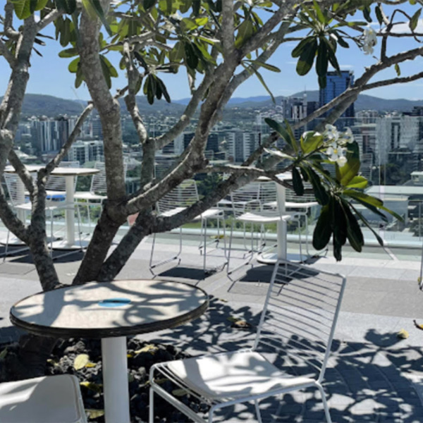 Reservations – Lina Rooftop